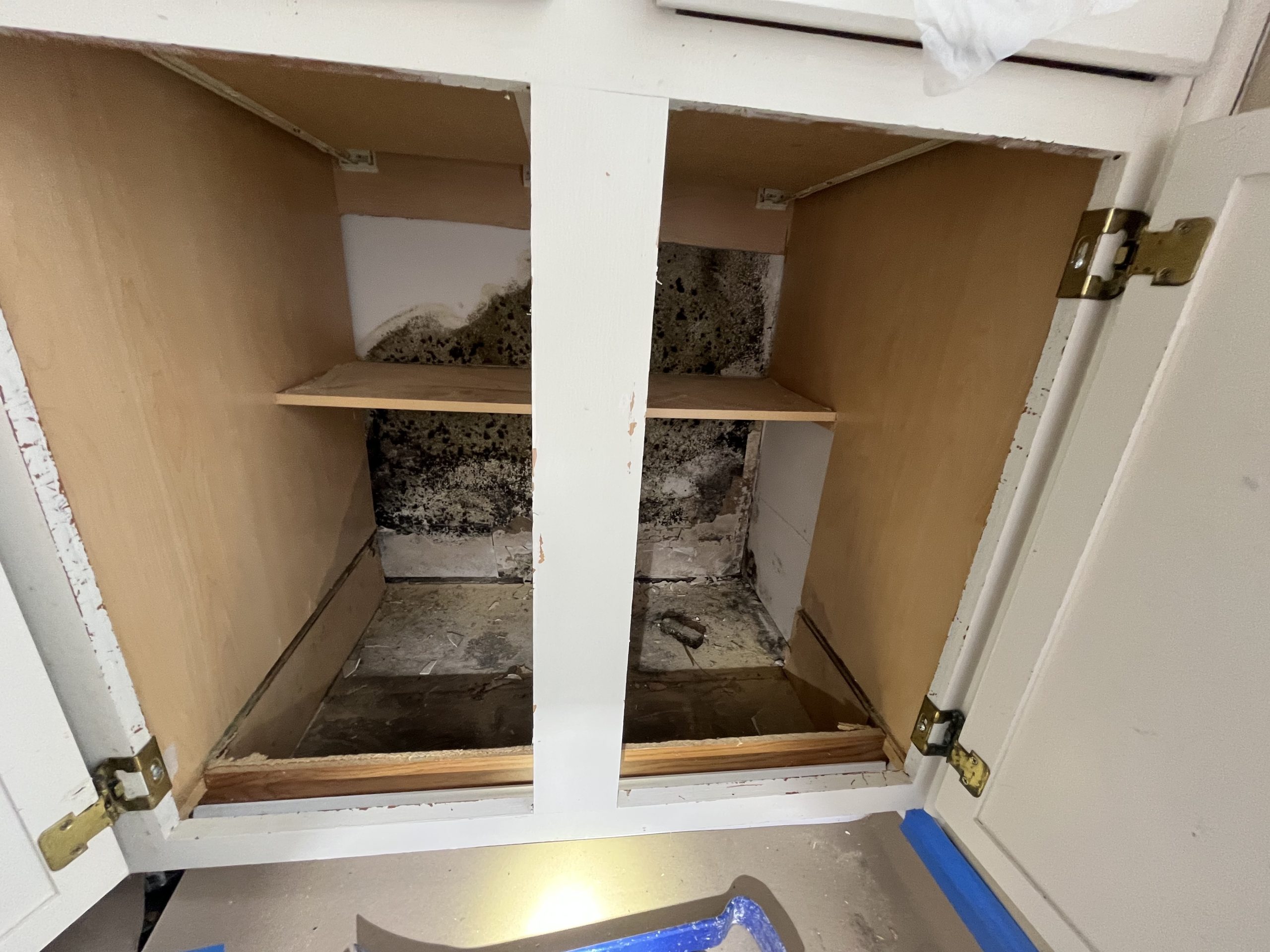 Places You May Find Mold In Your House | Chicago Mold Inspections