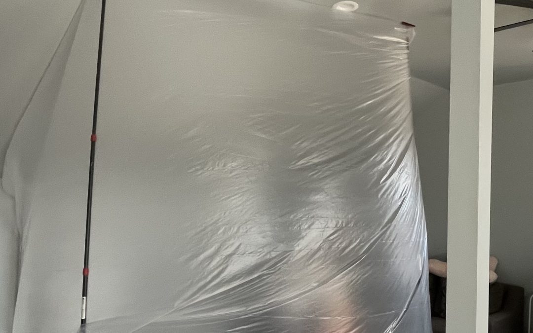 Professional Mold Removal and Remediation | Chicagoland Experts