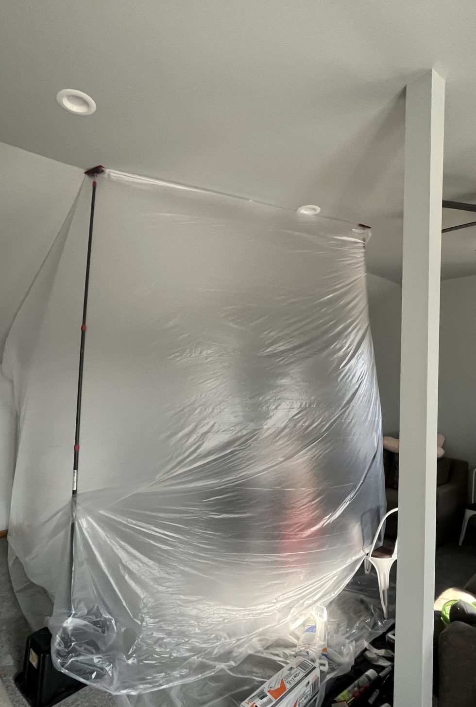 Professional Mold Removal and Remediation | Chicagoland Experts